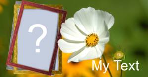 Photo Effects - Scrapee.net